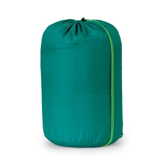 FireFly! Chip The Dinosaur Kid's Sleeping Bag - Green (65 in. x 24 in.) for School or Outdoor Camping/Carry Bag Included/Soft and Breathable