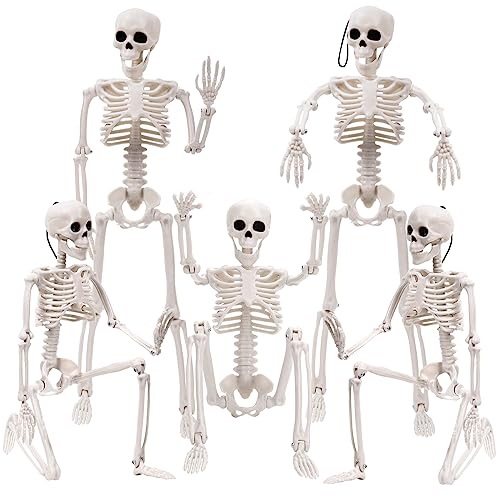 XIMISHOP 5pcs Halloween Skeleton Decoration, 16” Full Body Posable Halloween Hanging Skeleton Decoration with Movable Joints for Halloween Graveyard Haunted House Decoration Indoor Outdoor