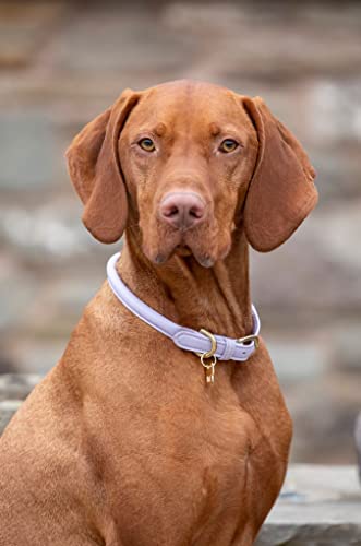 Digby & Fox Rolled Leather Dog Collar (Medium, Black)