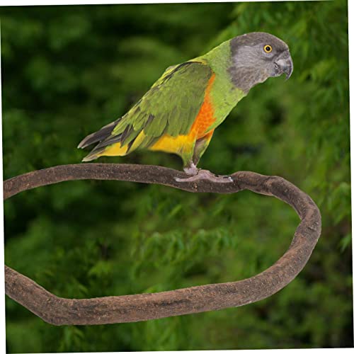 Mipcase 1pc Training Cockatiels Branches Toys Parakeet Supply Resistant Paw Perch Stand Wooden Accessories Conures Bird for Cage Stick Pet Bracket Caciques Parakeets Grinding Hamster