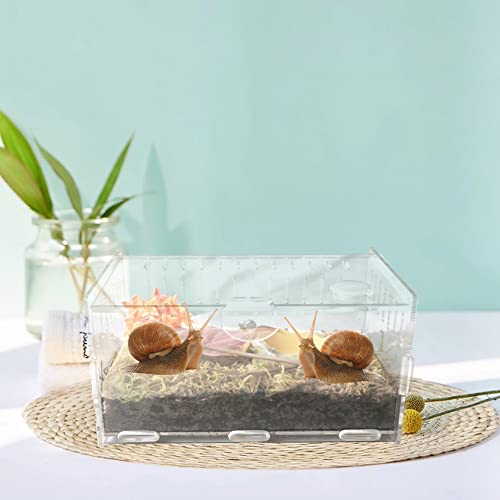 Magnetic Acrylic Reptile Cage,Transparent Enclosure Reptile Breeding Box,Breeding Box Terrarium Tank Suitable for Tarantulas,Lizards,Chameleons,Hermit Crabs,Snakes,Insect,Turtle(8x5x4 Inch)