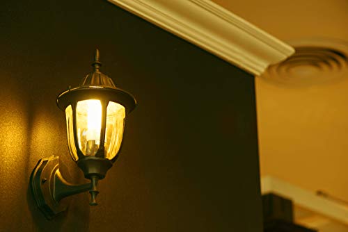Miracle LED 9W Almost Free Energy LED Lovely Glow Bug Light - Yellow Spectrum E26 A19 Medium Outdoor Bug Bulb- Replaces 60W Old Painted Incandescent Bug Bulbs Amber Glow (2-Pack), (609010)
