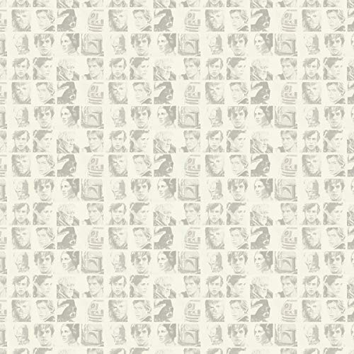 Cricut Star Wars Glactic Patterned Iron Galactic Empire