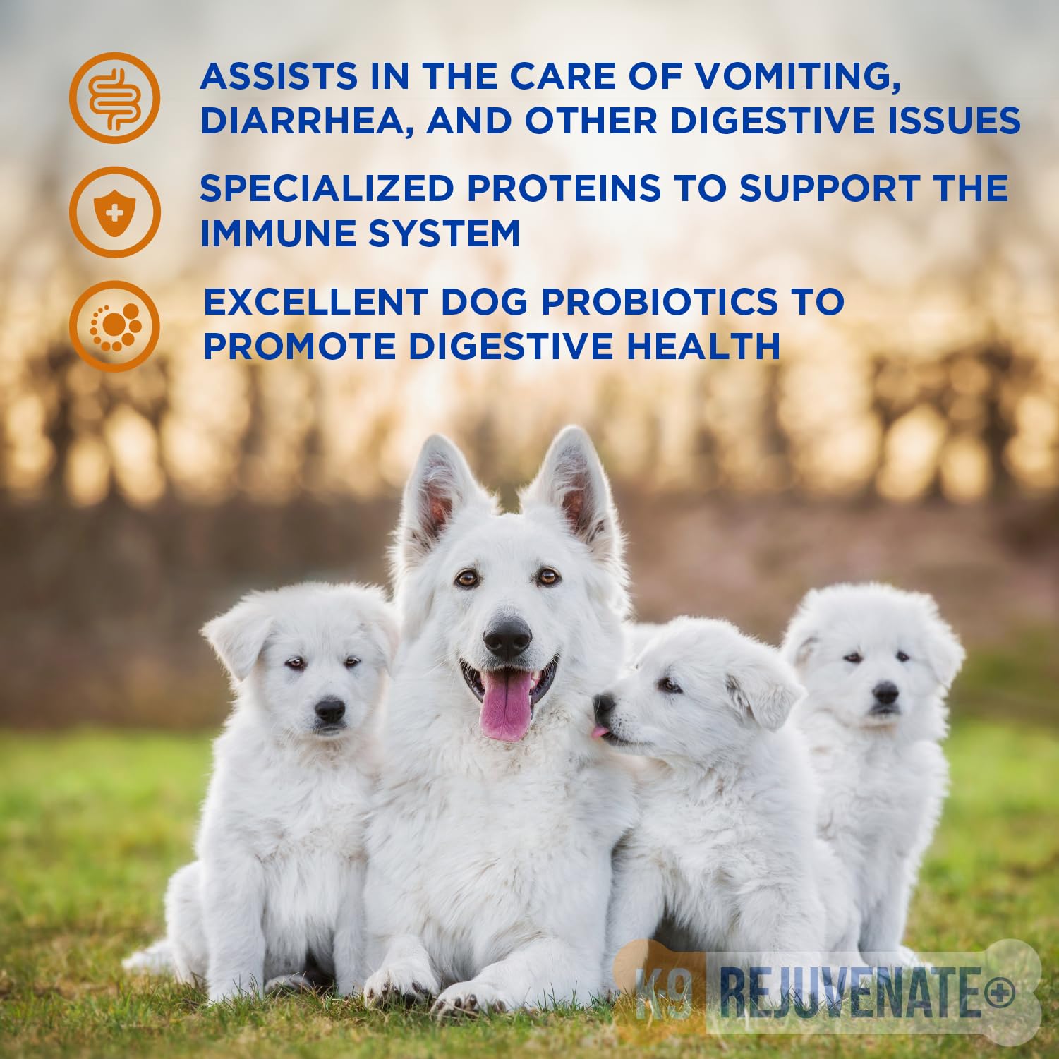 K9 Rejuvenate+ Canine Oral Paste (60g Oral Syringe, Pack of 2) Digestive and Immune Support for Dogs - Dog Supplements for Digestion
