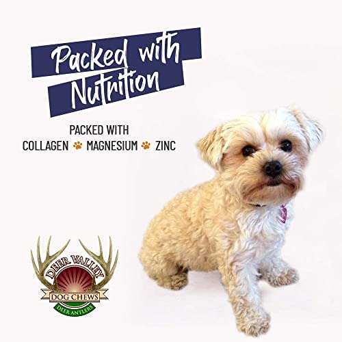 Deer Valley Dog Chews (Tiny 6 Pack, 4-6 Inches) - Premium Deer Antler for Small Dogs - Ideal Size for Puppies - Sourced in The USA