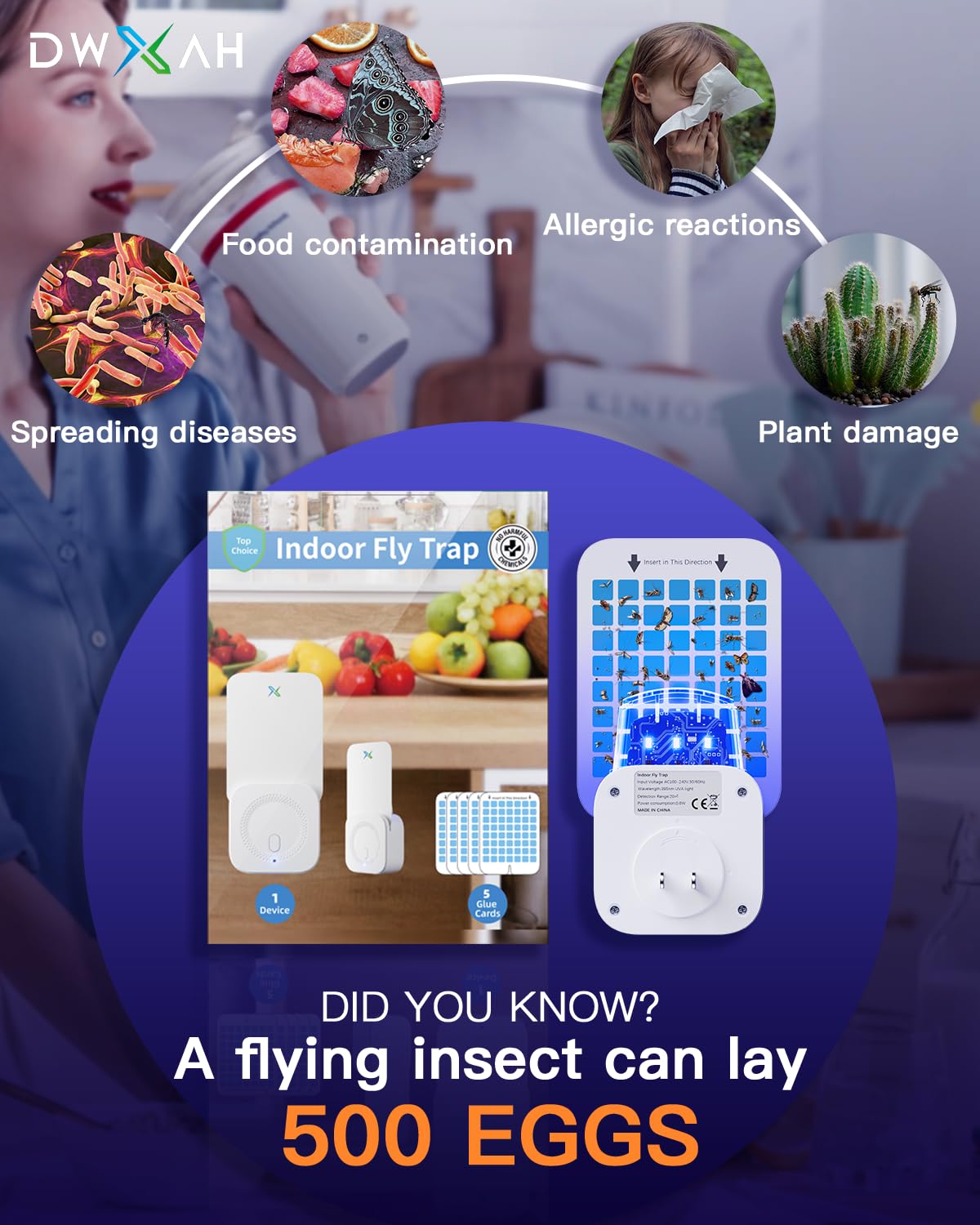 Indoor Fly Trap, Plug-in Bug Light Catcher with UV and Blue Light - Fruit Fly Traps for Indoors, Gnats, Mosquitoes, Flies, Moths,House Flies - Fly Traps Indoor for Home (2 Plug-in Base + 10 Refills)