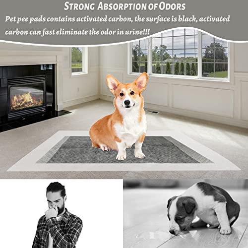 MUYG Disposable Rabbit Pee Pads,50PCS 17.7"x23.6" Pet Pees Pad,Cage Black Carbon Liner,Super Absorbent Leak Proof Cushion Reduce Odor Bunny Training Accessories for Kitten Puppy Hamster Hedgehog(Gray)