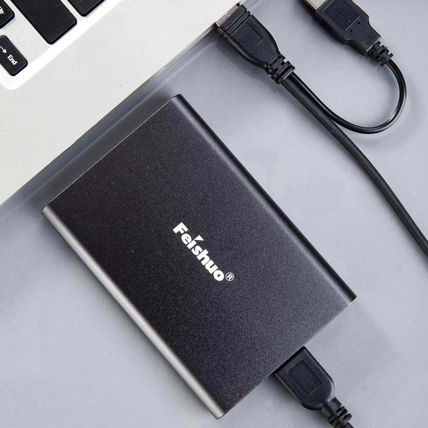 FEISHUO Portable External Hard Drive USB3.0 SATA HDD Storage (120G, Gray)