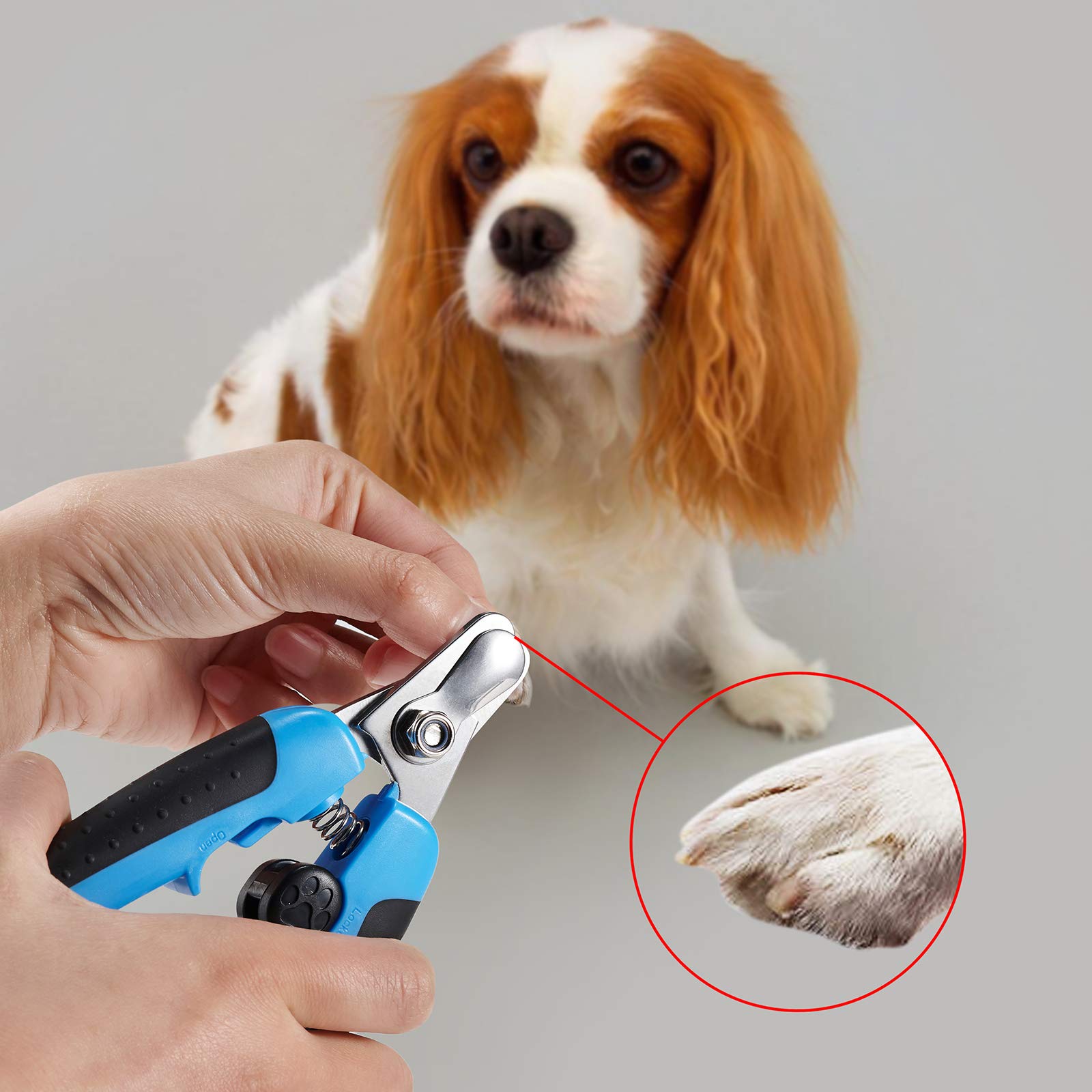 Dog Nail Clipper with Safety Guard to Avoid Over-Cutting, Sharp Stainless Razor Blades & Non Slip Handles, Professional Pet Nail Trimmer for Paw Grooming at Home, Great for Large Medium & Small Breed