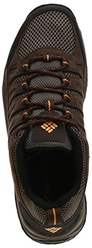 Columbia Men's Lakeview II Low, Cordovan/Mud, 10