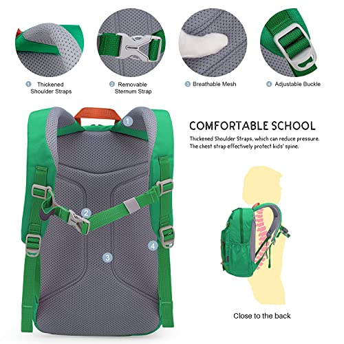 MOUNTAINTOP Kids Backpack for Boys Girls Elementary Kindergarten School Bag Lightweight Children Daypack Green