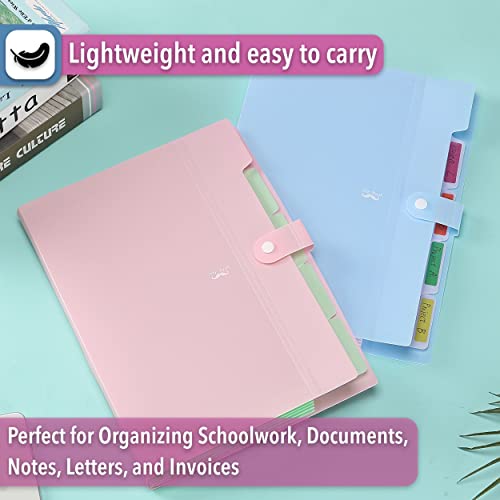 Mr. Pen- Expanding File Folder, 2 Pack, 5 Pocket, Accordion Folder with Lables, Expandable Folder, Accordian Folder Organizer, File Folder Organizer, Accordion File Organizer, Multi Pocket Folder