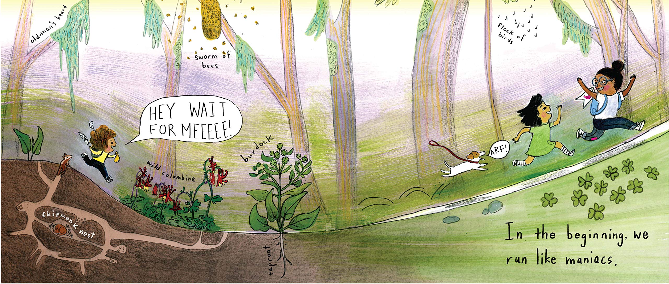 The Hike: (Nature Book for Kids, Outdoors-Themed Picture Book for Preschoolers and Kindergarteners)