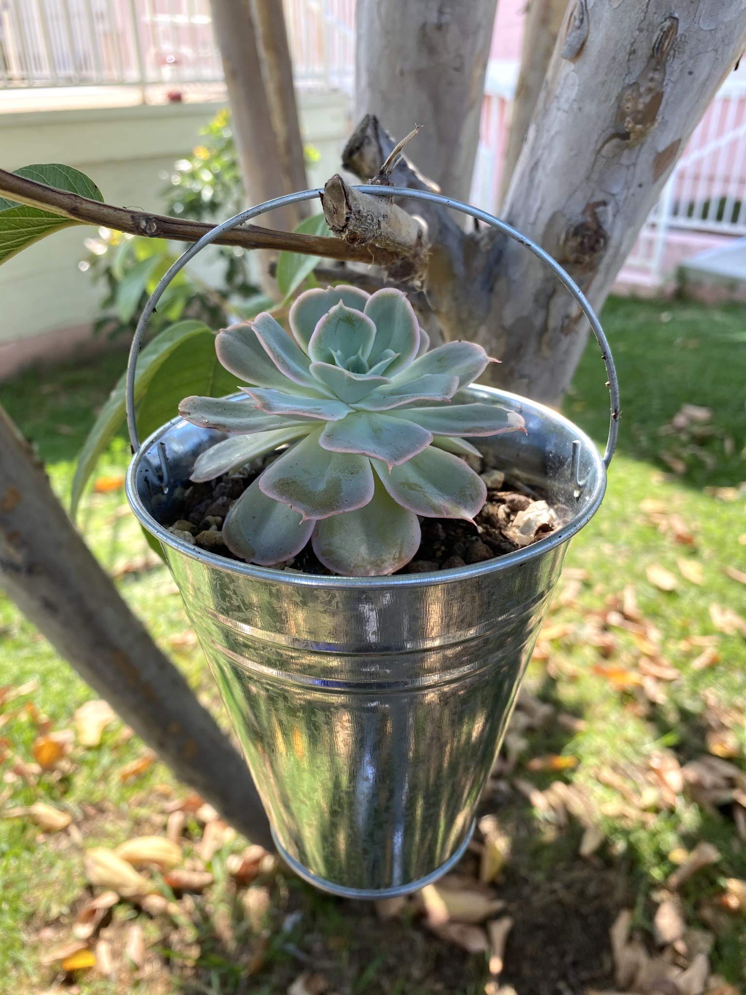 Goldenvalueable 12 Metal Buckets 5 Inch Galvanized Pail for Wedding Decorations, Centerpieces for Party, Garden Planters