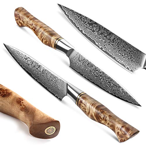 HEZHEN 5 inch Utility Knife with Razor Sharp- Damascus Steel with Rose Pattern Multifunctional VG10 Professional Paring-Fruit knife- Master Series Ergonomic Figured Sycamore Wood Handle