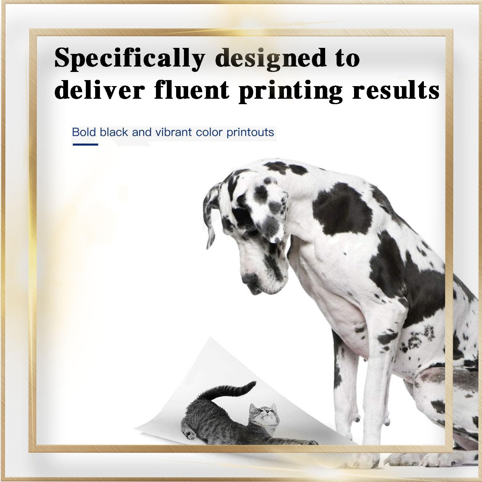 DUOBEY Replacement 008R08102 Waste Toner Box for Xerox AltaLink B8145 B8155 B8170 Waste Toner Container 1 Pack