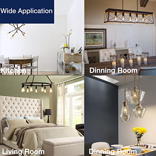 FLSNT 6 Pack LED Edison Bulbs, Dimmable ST19 LED Bulb, 2200K Amber White, E26 Base, 4W(40W Equivalent), 300LM, Amber Glass