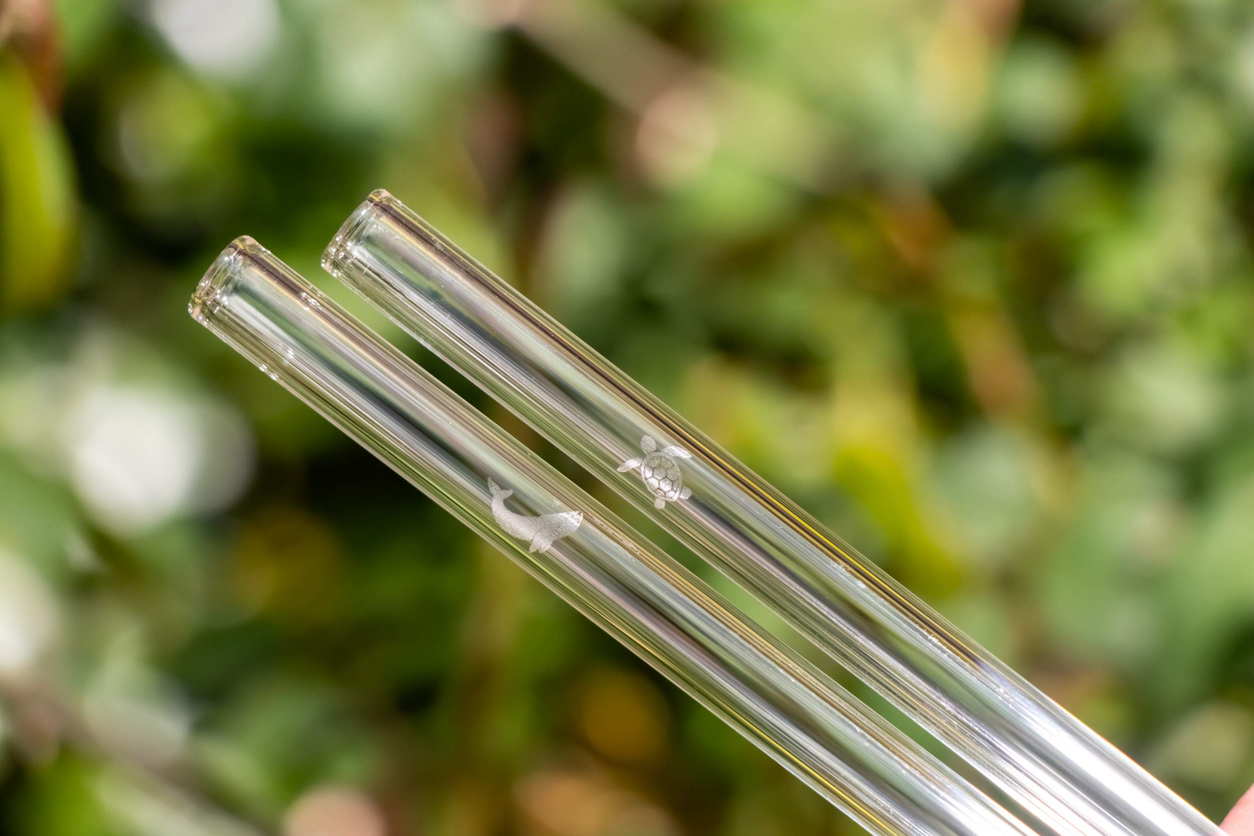 HALM Glass Straws - Earth Day Charity Edition - 6 Reusable Drinking Straws engraved with Endangered Animals - 20 cm (8 in) x 0.9 cm - Made in Germany - Dishwasher Safe - Eco-Friendly
