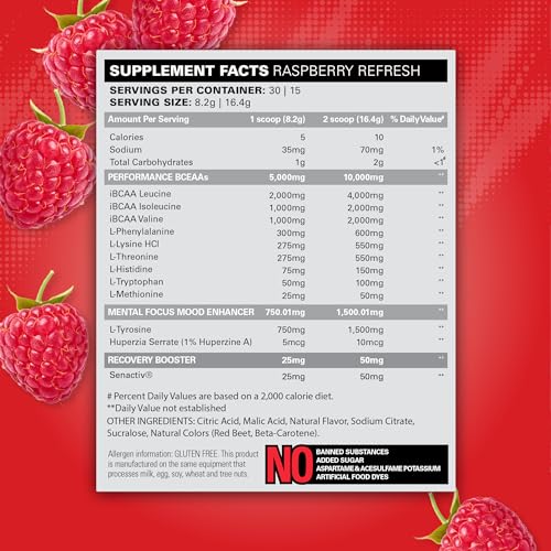 EHP Labs Beyond BCAA Powder Amino Acids Post Workout Recovery - BCAAs Essential Amino Acids EAA Supplements Powder - 10g Amino Acids Supplement for Muscle Recovery, 60 Servings (Raspberry Refresh)