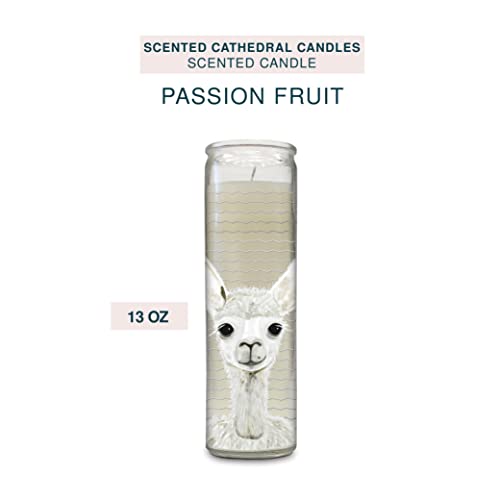 Scented Cathedral Candle by Studio Oh! - 13-Ounce Soy-Blend Wax Pillar Candle in Decorative Glass Container - Passion Fruit - Burns up to 115 Hours