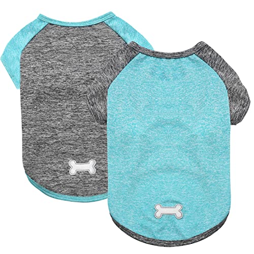 KYEESE 2 Pack Dog Shirts Raglan Sleeve Quick Dry Lightweight Stretchy Protects Against Foxtails Dog T-Shirts with Reflective Label Puppy Shirts for Small Dogs Sun Protection, Medium, Grey+Blue
