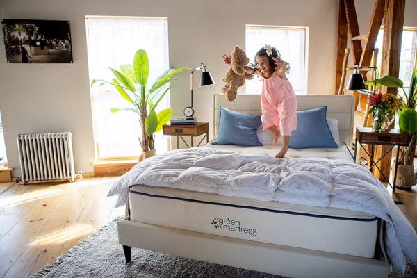 Kiwi Organic Mattress (King)