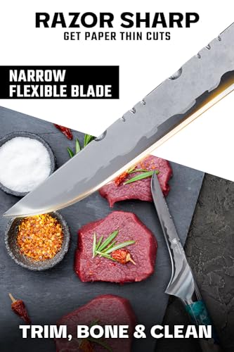 Dalstrong Boning Knife - 6 inch - Valhalla Series - 9CR18MOV HC Steel - Celestial Resin & Wood Handle - Fillet Knife, Meat Cutting, Carving, Bone, Trimming, Deboning - Kitchen Knife - Leather Sheath