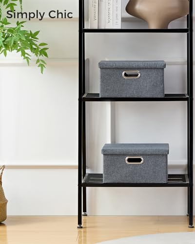 FABINADO Storage Bins with Lid, Fabric Closet Organizer, Foldable Storage Container, 2 Pack, Anthracite Gray,16.9''x12.2''x11.4''