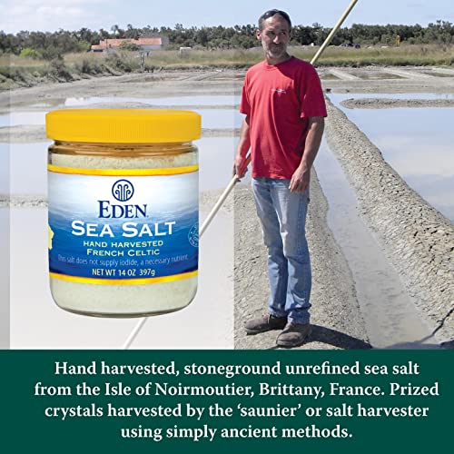 Eden Sea Salt, Hand Harvested French Celtic, Stone Ground (Fine), Trace Minerals, Unrefined, Glass Jar, 14 oz