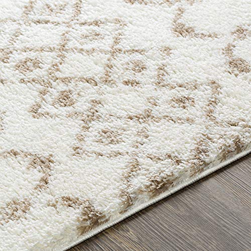 Livabliss Anita Bohemian Shag Area Rug,7'10" x 10',Beige