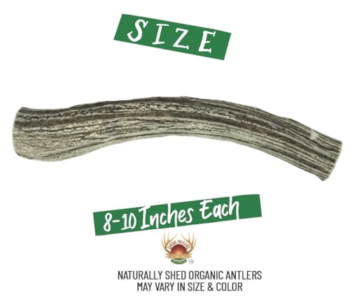 Deer Valley Dog Chews (Giant Single, 8-10 Inches) Sustainably-Sourced Deer Antler for Extra Large Dog Breeds - Durable Dog Chew Bone for Aggressive Chewers