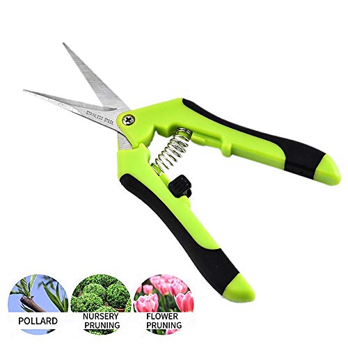 JF-XUAN Shear Tool Multifunctional Pruning Shears Garden Small Scissors Fruit Picking Scissors Trim Weed Household Potted Branches Gardening Tools (Color : As pic5)