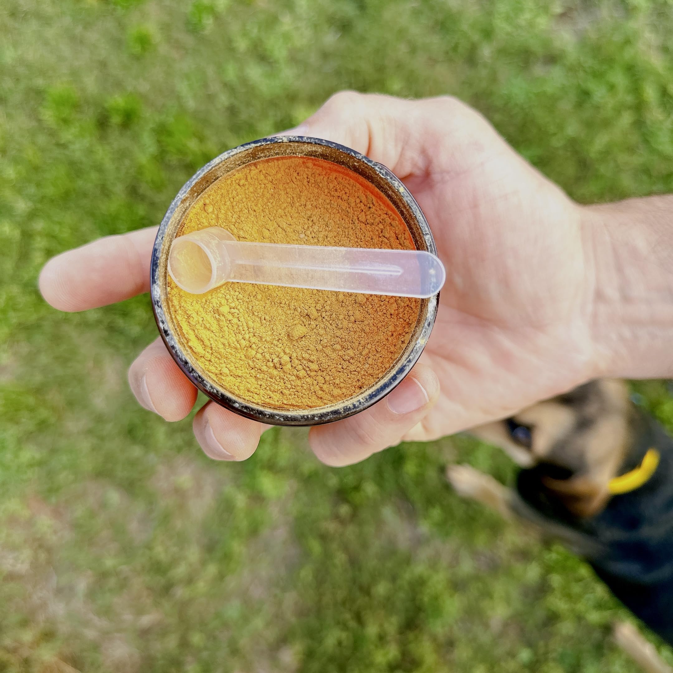 Gut Stuff by Helluva Dog β Digestive Aid Meal Topper for Active Sporting Dogs β Pumpkin & Slippery Elm for Dog's Upset Stomach & Better Gut Health, Packed with Fiber - 3oz