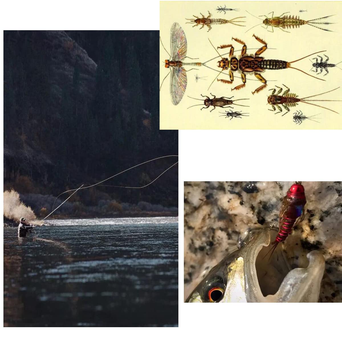 Dry Flies, Bee Mayfly Ant Fly Fishing Lure