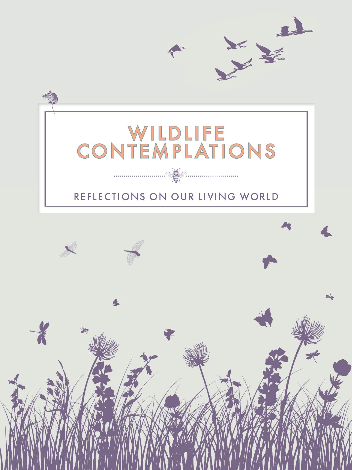 Wildlife Contemplations: Reflections on Our Living World