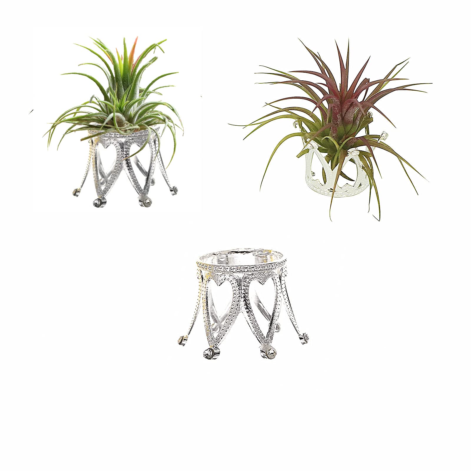 Newwe Pack of 3 Silver Air Plant Holder Cute Crystal Tillandsia Display Container Home Decors Office Desktop Marble Egg Sphere Stand