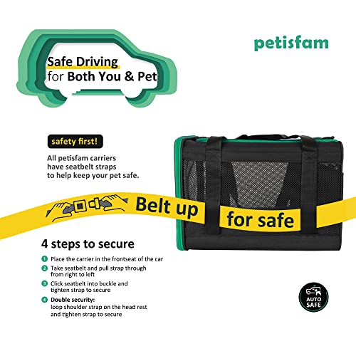 petisfam Soft Pet Carrier Bag for Easy Travel with Medium, Large Cats, 2 Kitties and Small Dogs. Easy to get Cat in. Easy Vet Visit. Easy Storage. Black w/Green Trim, L