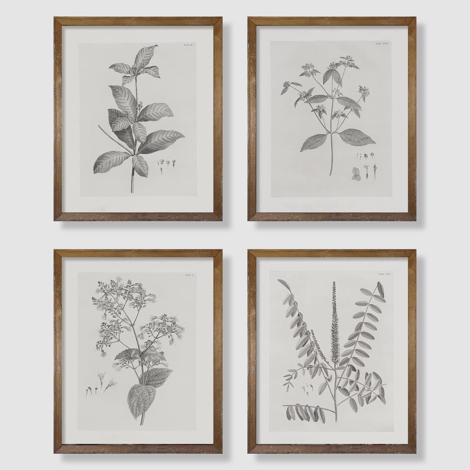 Farmhouse Wall Art Botanical Prints - Vintage Flower Boho Minimalist Floral Poster Decor for Bedroom Living Kitchen Bathroom Home Office - Black and White Plant Leave Wall Art - Set of 4 Picture 8x10