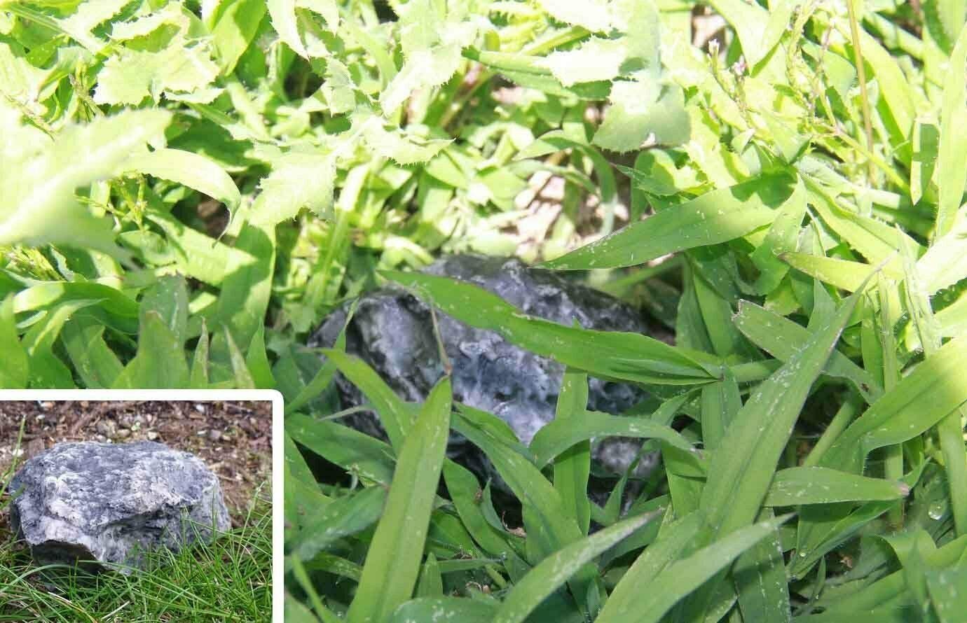 FingerLakes Hide-A-Spare Key Fake Rock - Looks, Feels & Weighs Like Real Stone - Safe for Gardens, Yards, Geocaching