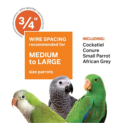 Prevue Pet Products Parrot Playtop Manor Bird Cage with Movable Stand and Activity Play Top for Large Birds