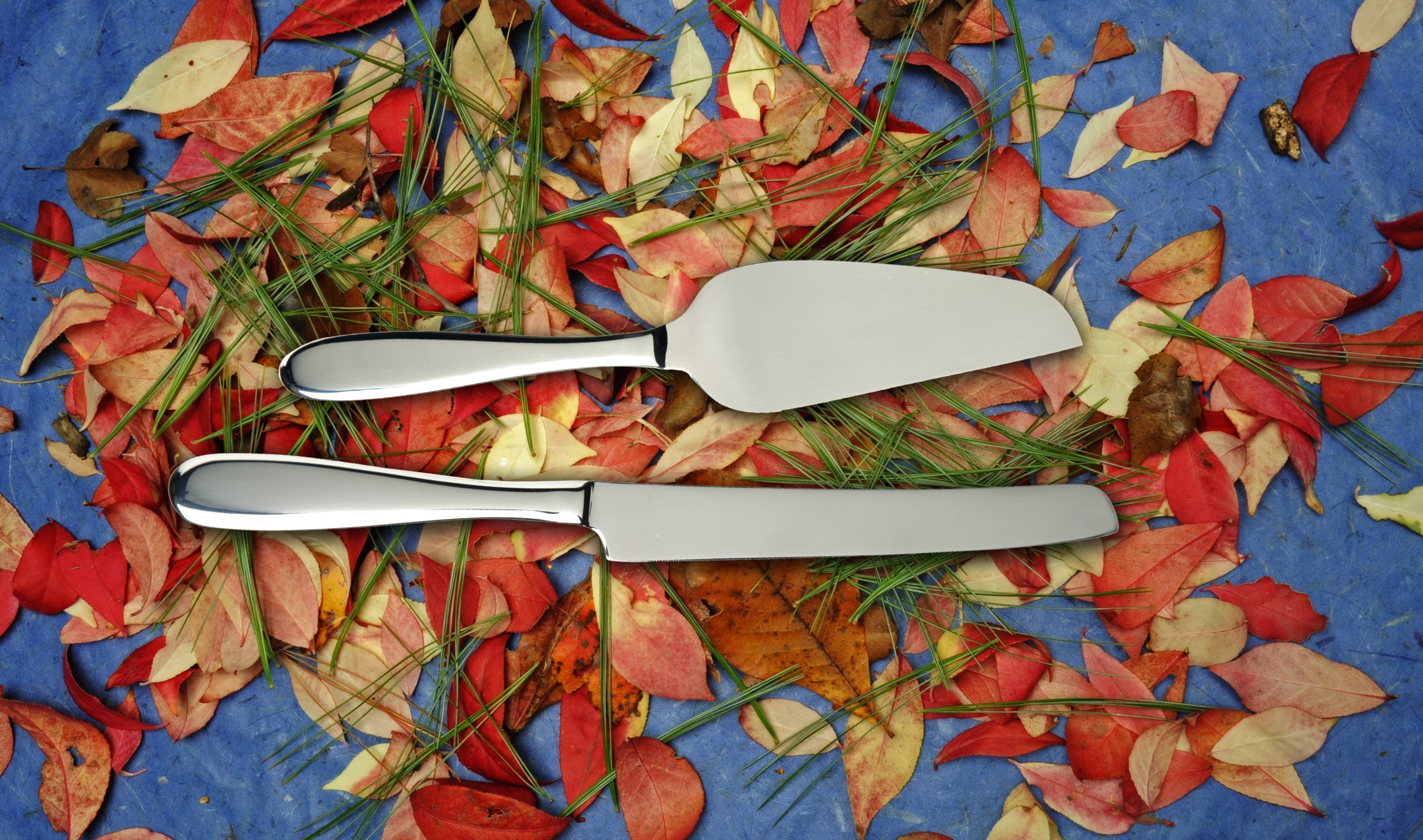 Fortessa Grand City 18/10 Stainless Steel Flatware Cake Server, 10.3-Inch