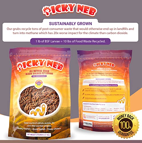 PICKY NEB 100% Non-GMO Dried BSF Larvae Grubs (5 lbs) Bulk - Chicken Treats & Molting Supplement - High-Protein Immune System Booster Snack for Chickens - 85x More Calcium Than Mealworms