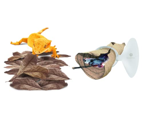 SunGrow Saver Bundle Pack - Catappa Leaves 30Pcs/Pack + Large Leaf Hammock
