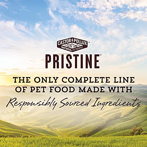 PRISTINE Grain Free Wild-Caught Salmon Recipe Pate Wet Cat Food - (24) 3 oz. Cans