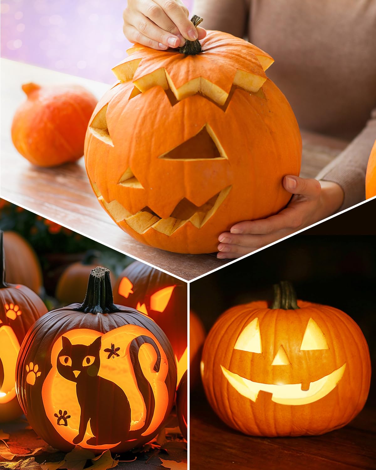 Luditek Halloween Pumpkin Carving Tools, Halloween Jack-O-Lanterns 11 Piece Professional Stainless Steel Pumpkin Carving Kit, Pumpkin Cutting Supplies Tools Kit for Adults Kids