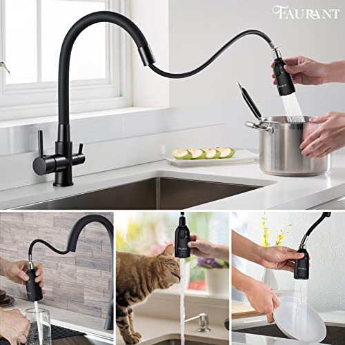 FAURANT Kitchen Faucet Head Replacement, Pull Down Water Filter for Kitchen Sink, Pull Out Sink Sprayer for G1/2 Connector, Black 1 Faucet+2 Filters