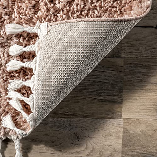 nuLOOM Neva Modern Tasseled Shag Area Rug, 5' 3" x 7' 7", Pink
