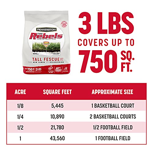 Pennington The Rebels Tall Fescue Grass Seed Blend, 3 Pounds