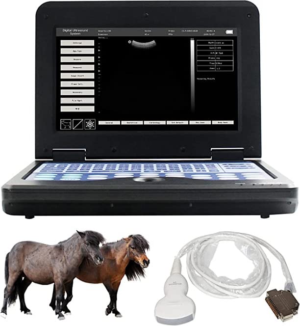 Portable Vet Veterinary B-Ultrasound Scanner,for Pregnancy,with Convex Probe for Horse,Goat,Cow,Sheep and Pig, CMS600P2 Vet CONTEC(Convex Probe)