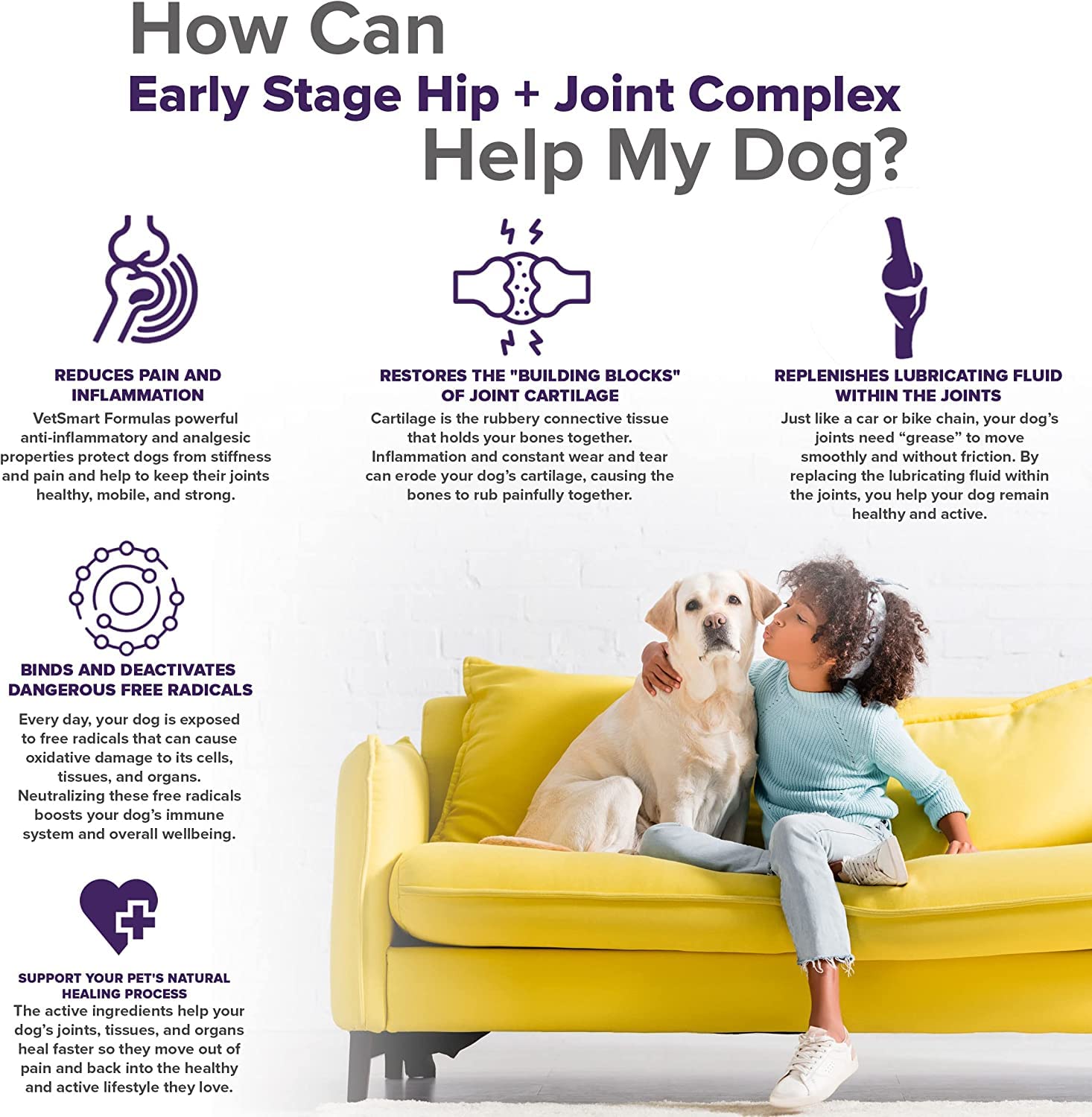 VetSmart Formulas Joint Supplement for Dogs (Early Stage, Pack of 1)